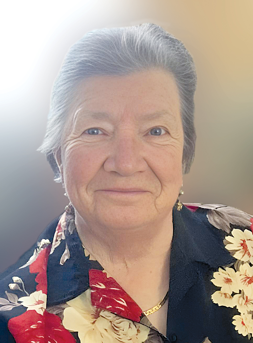 Bertilla Povolo — Il Globo