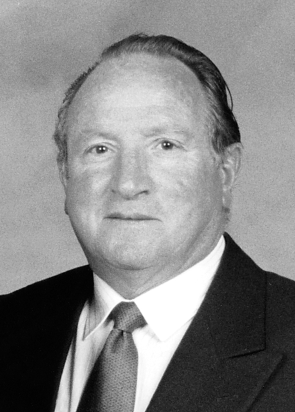 Domenico Arcella — Il Globo