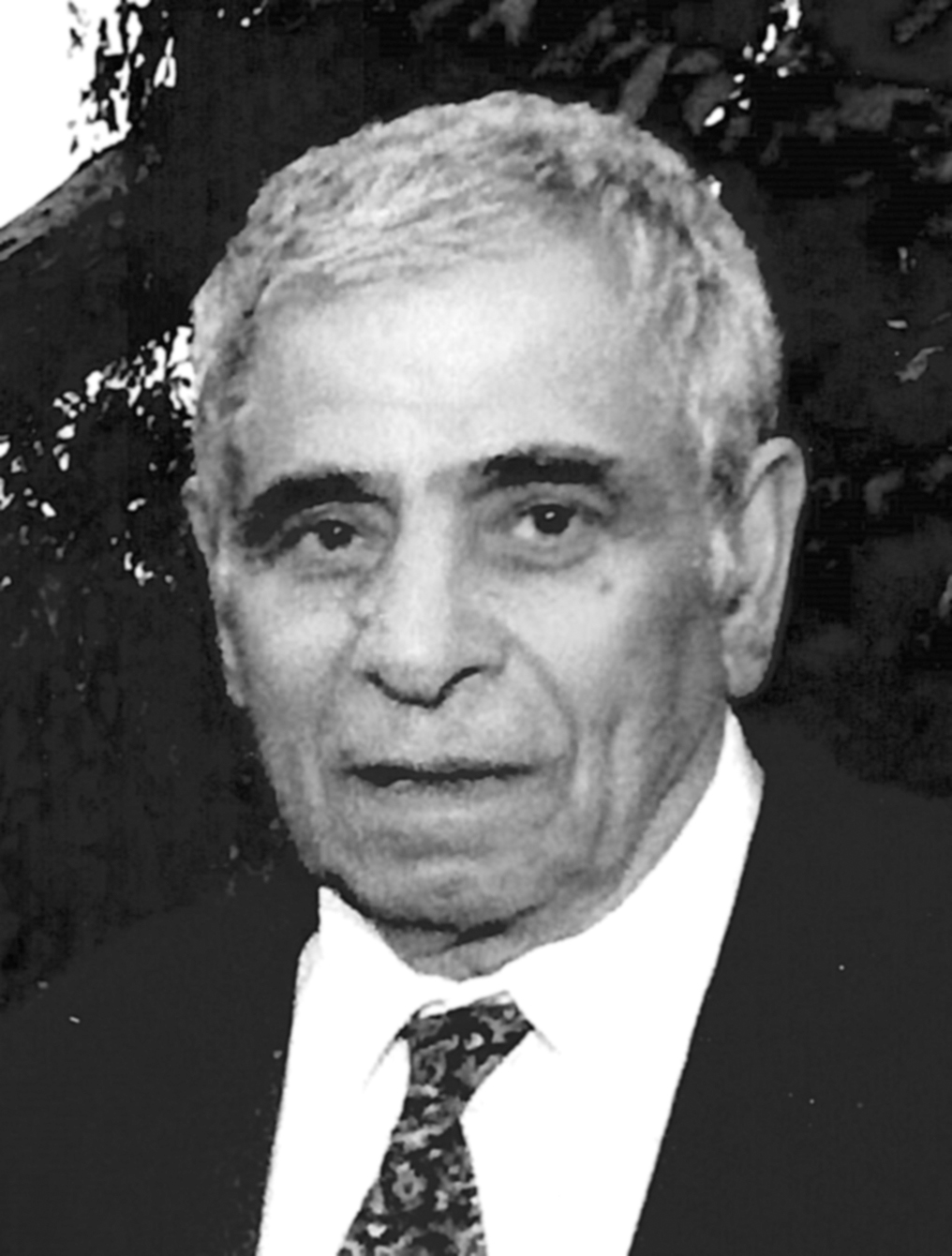 Giuseppe Marasco — Il Globo