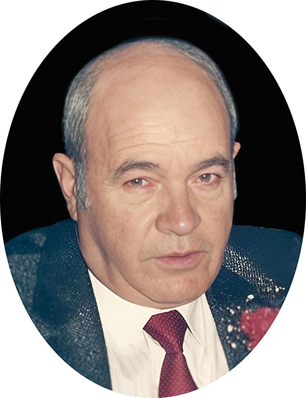 Francesco Fragapane — Il Globo