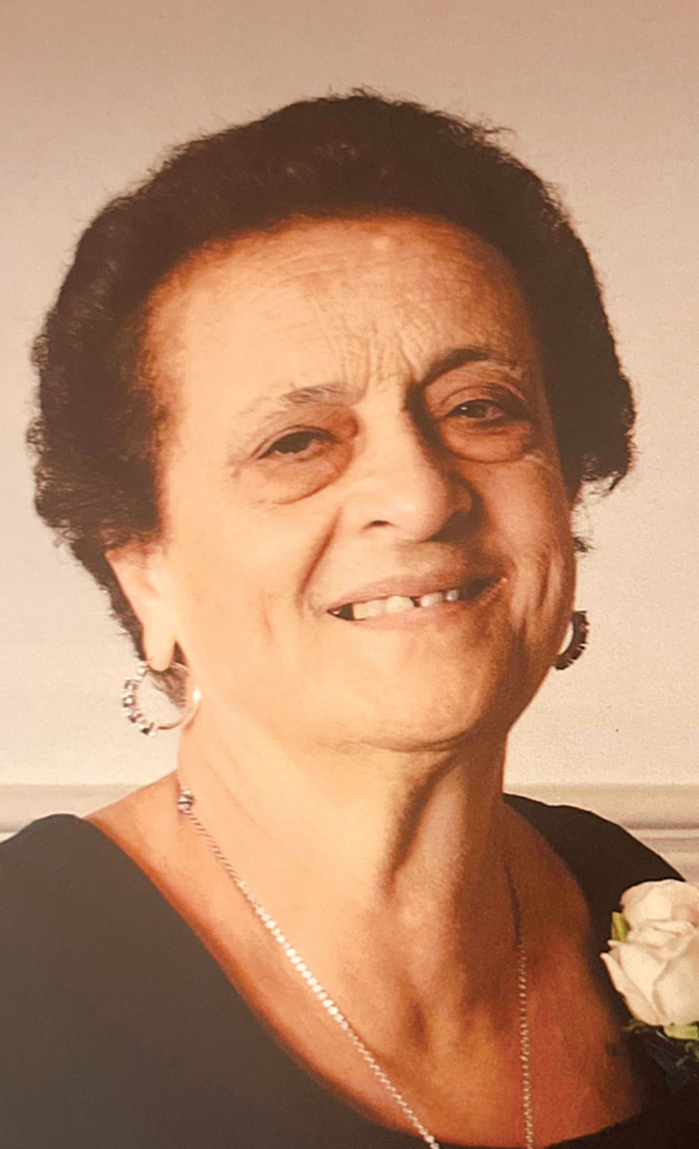 Annunziata Aloise — Il Globo