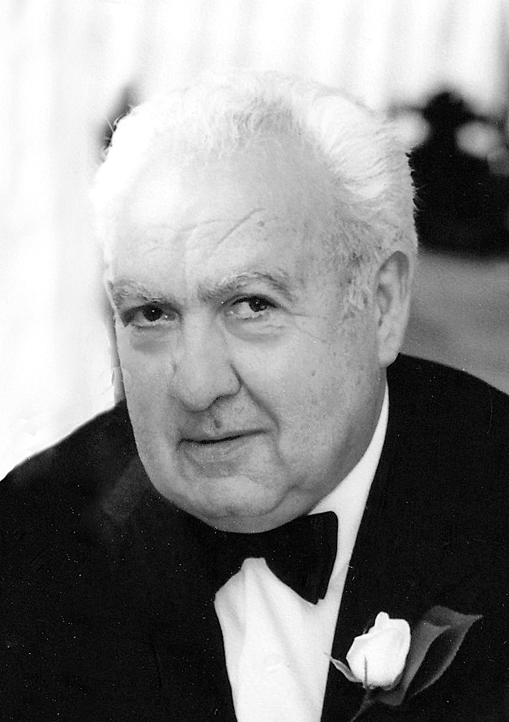 Antonio Giovino Bocchetti — Il Globo