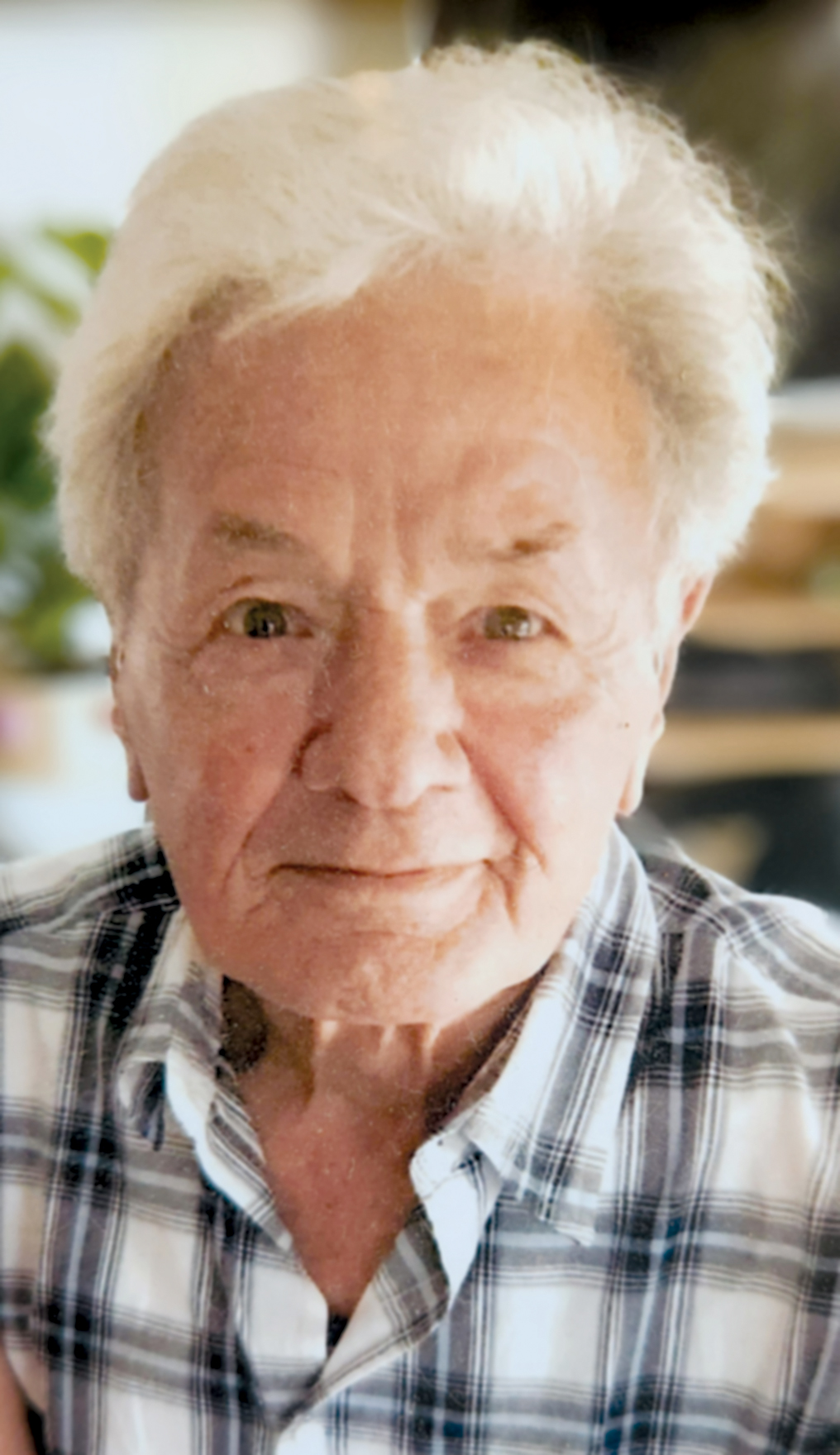 Giuseppe (Pino) Licata — Il Globo