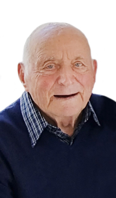 Demetrio Pellegrino — Il Globo