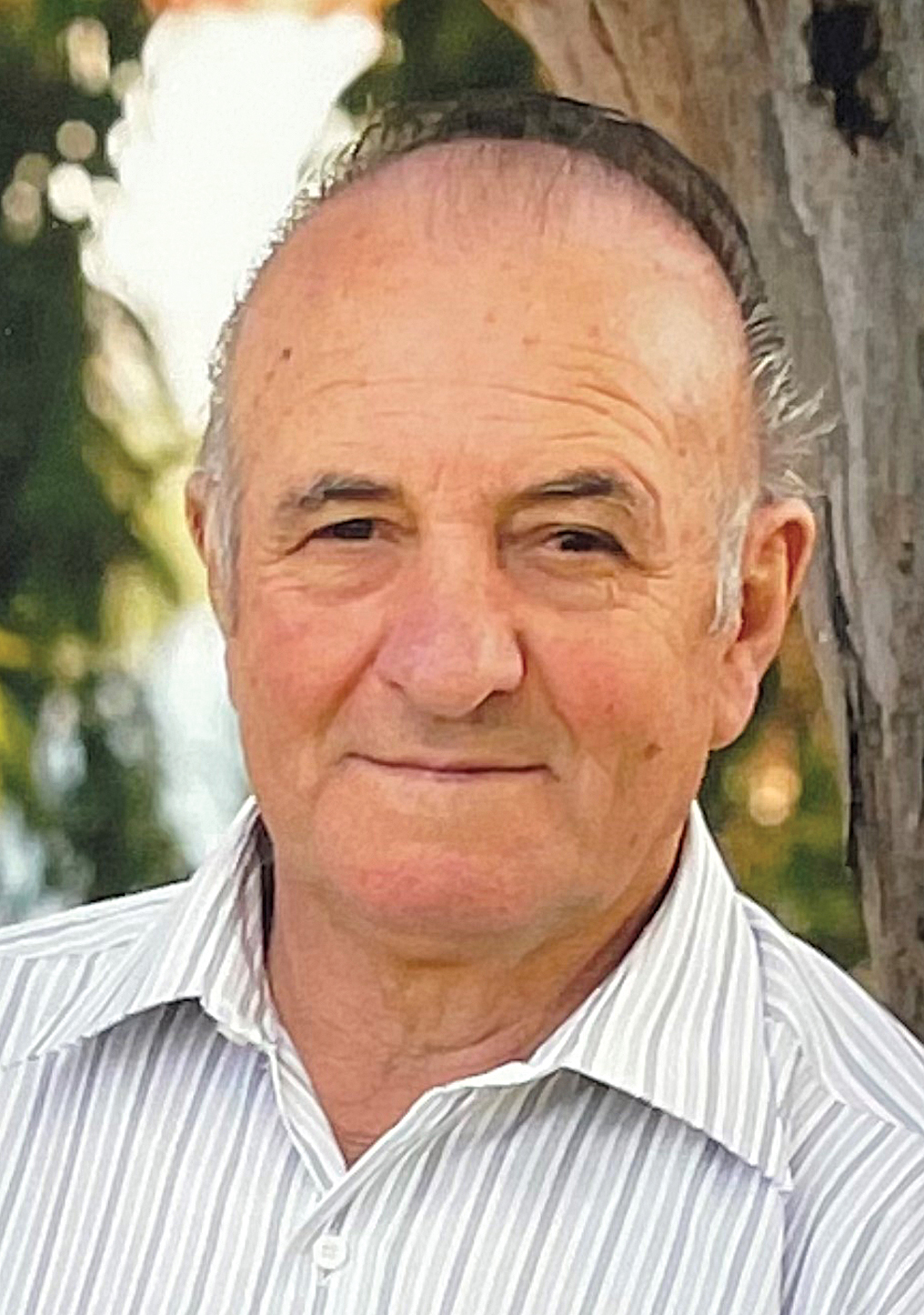 Attilio Peluso — Il Globo