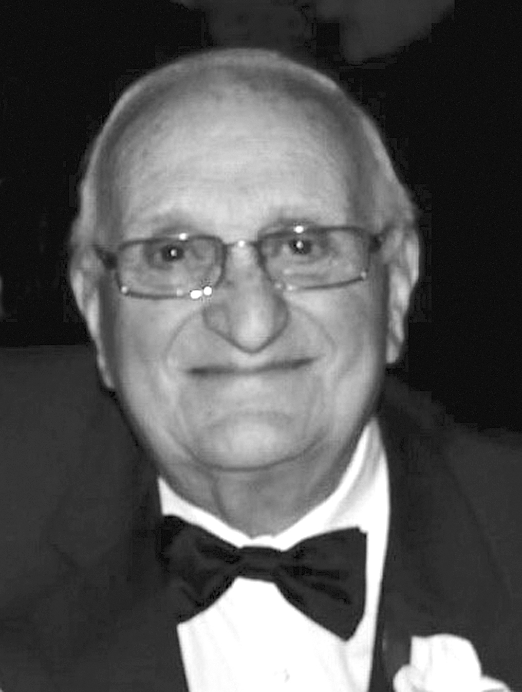 Stelio Di Giambattista — Il Globo