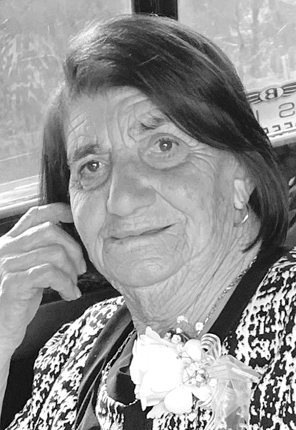 Maria Antonietta D'Amelio — Il Globo