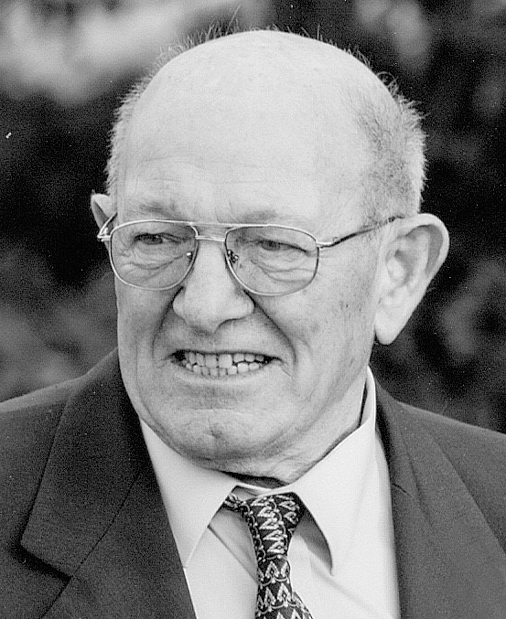 Giuseppe Bolzon — Il Globo