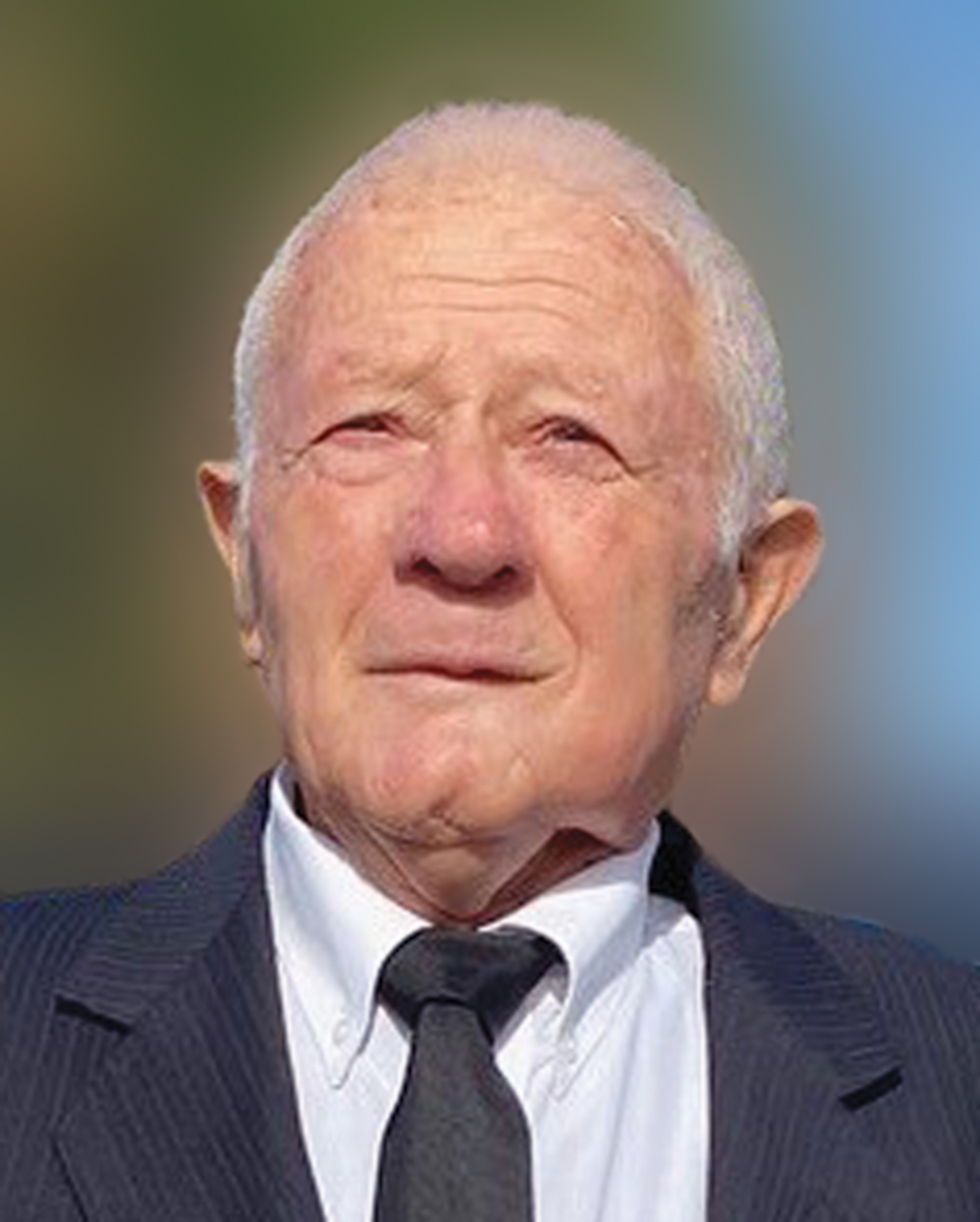 NINO MICHELE CAPPOLA — Il Globo