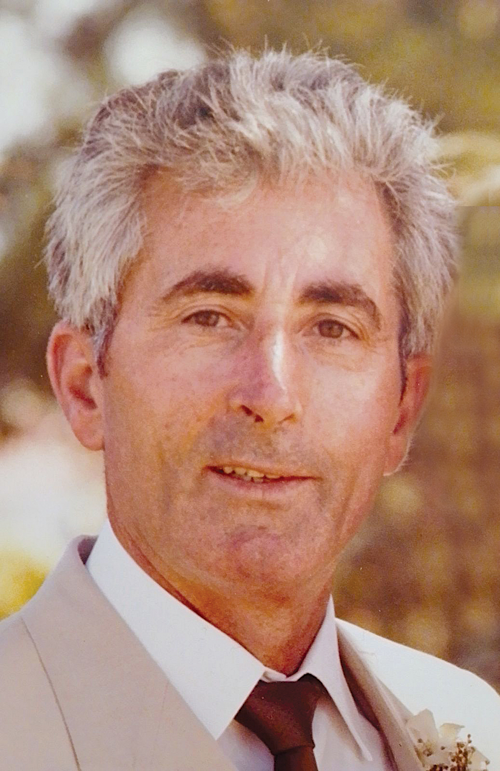 Raffaele Mimmo — Il Globo