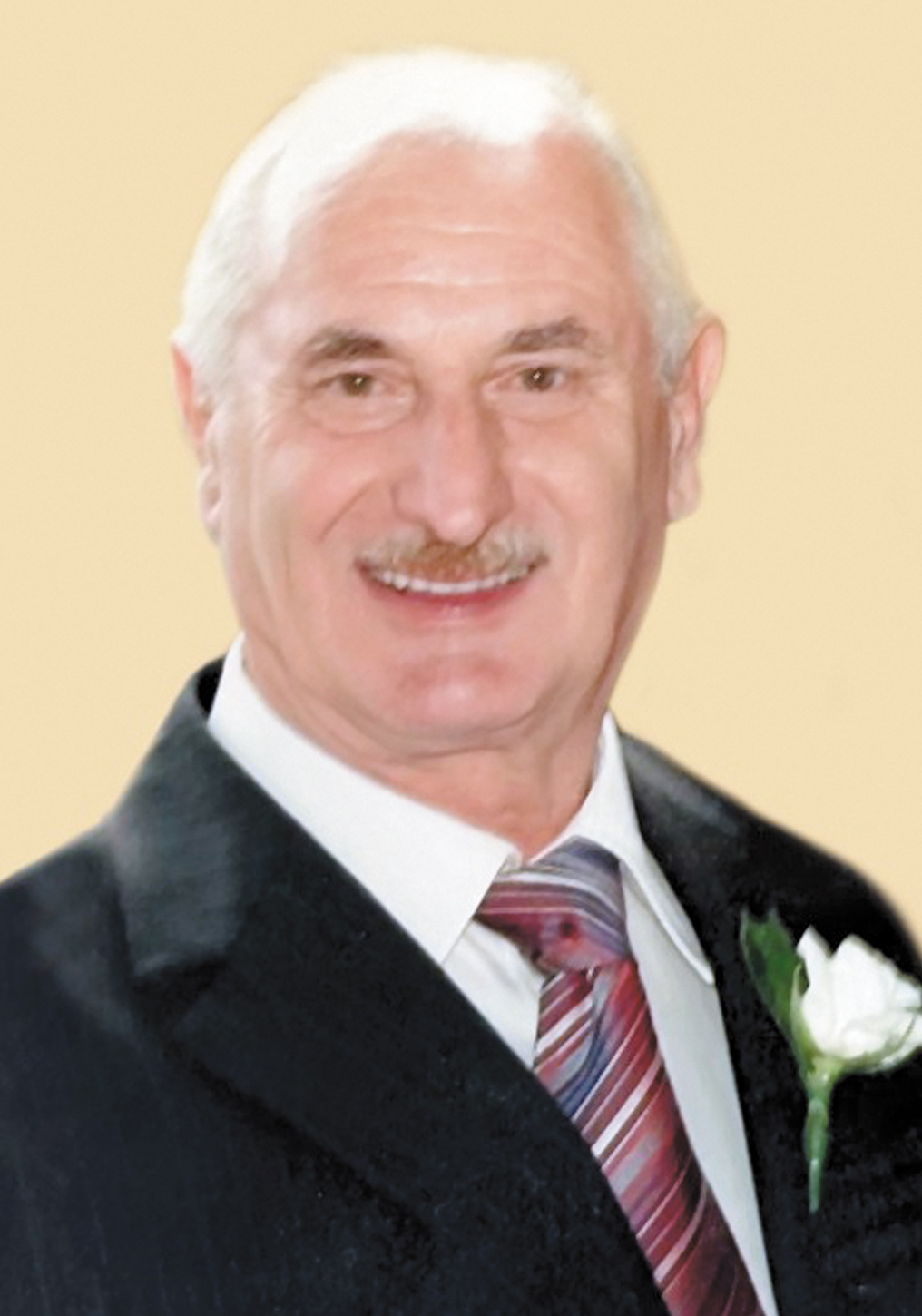 Mario Zonta — Il Globo