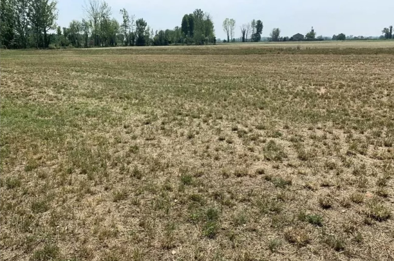 Growing protest over poor water supply in drought-hit Sicily — Il Globo