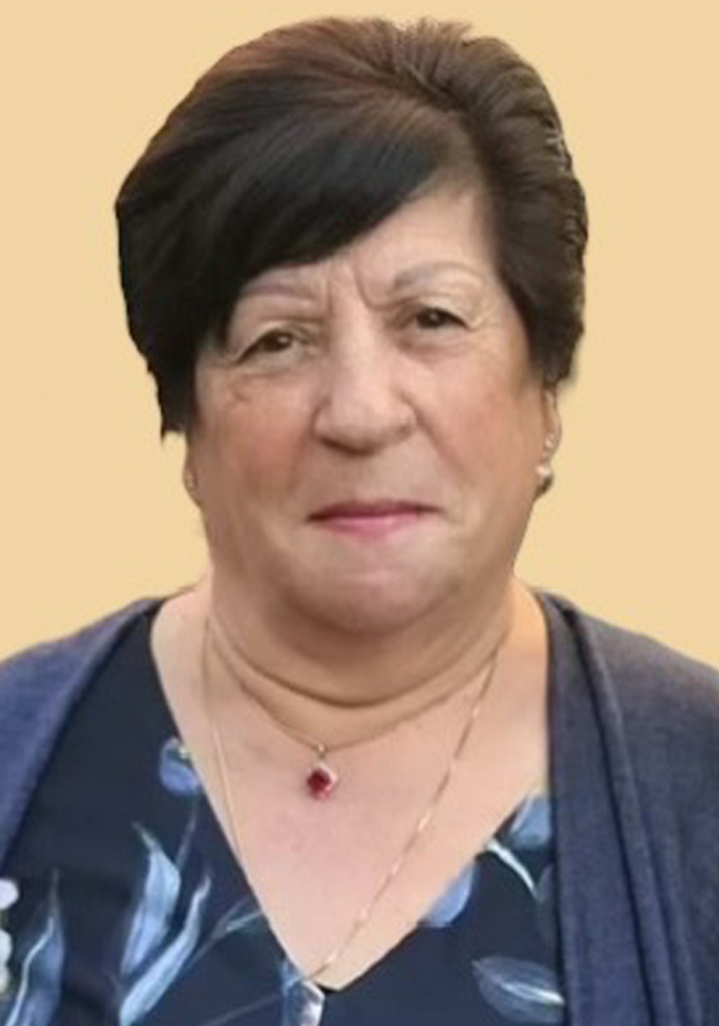 Anna Losinno — Il Globo