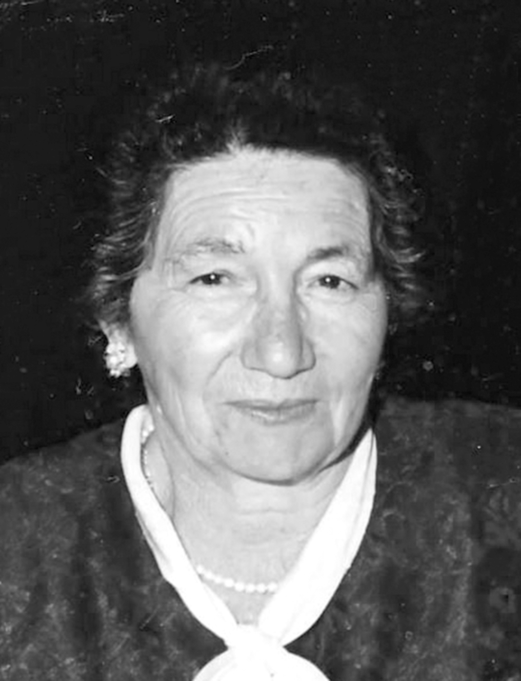 Lina Vescio — Il Globo