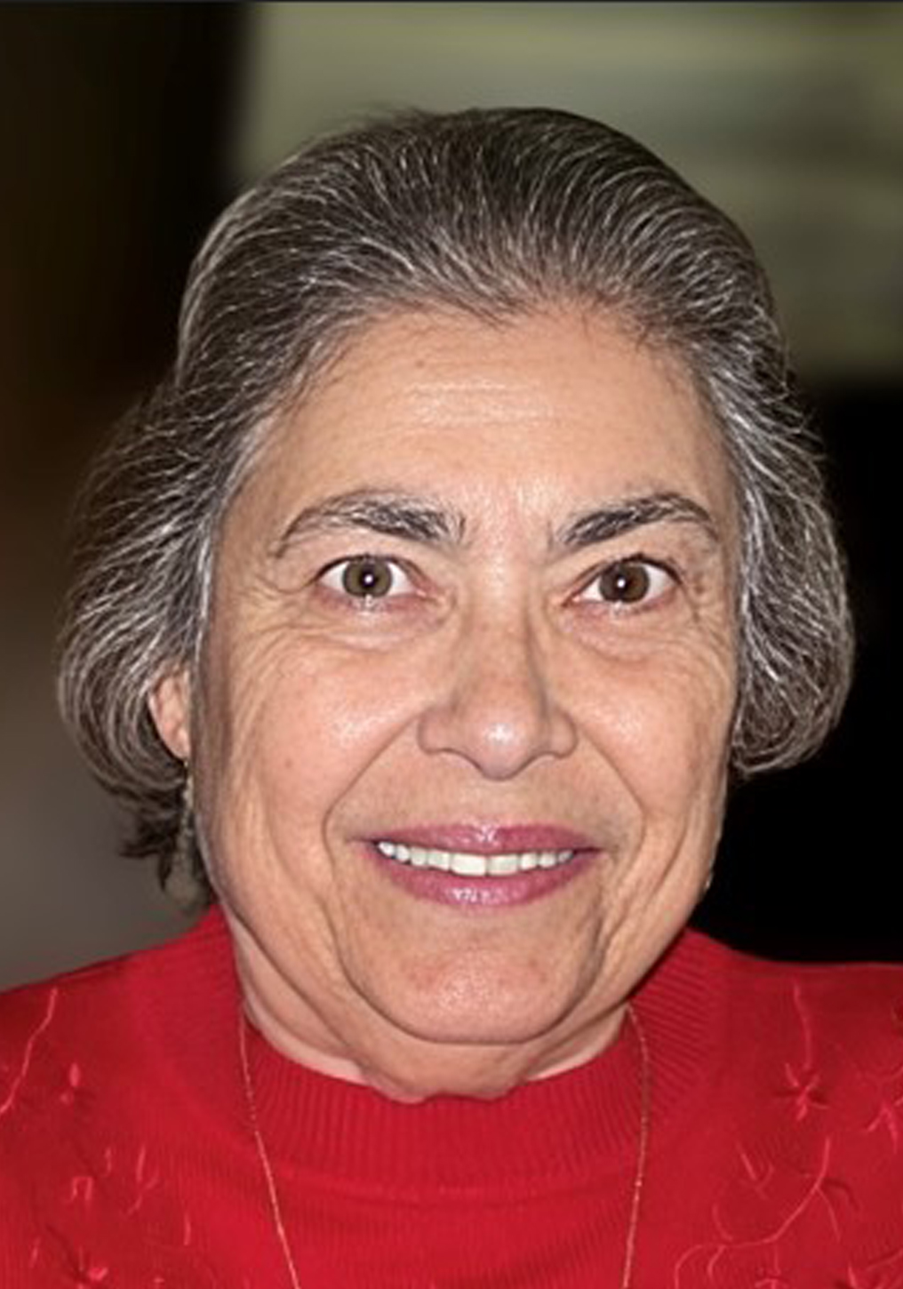 Domenica Calarco — Il Globo