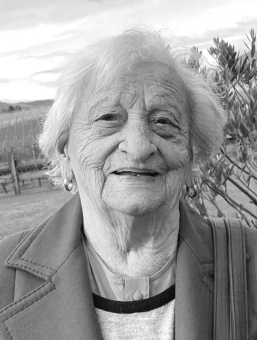 Idelma Clara Cenci (nata Baseggio) — Il Globo