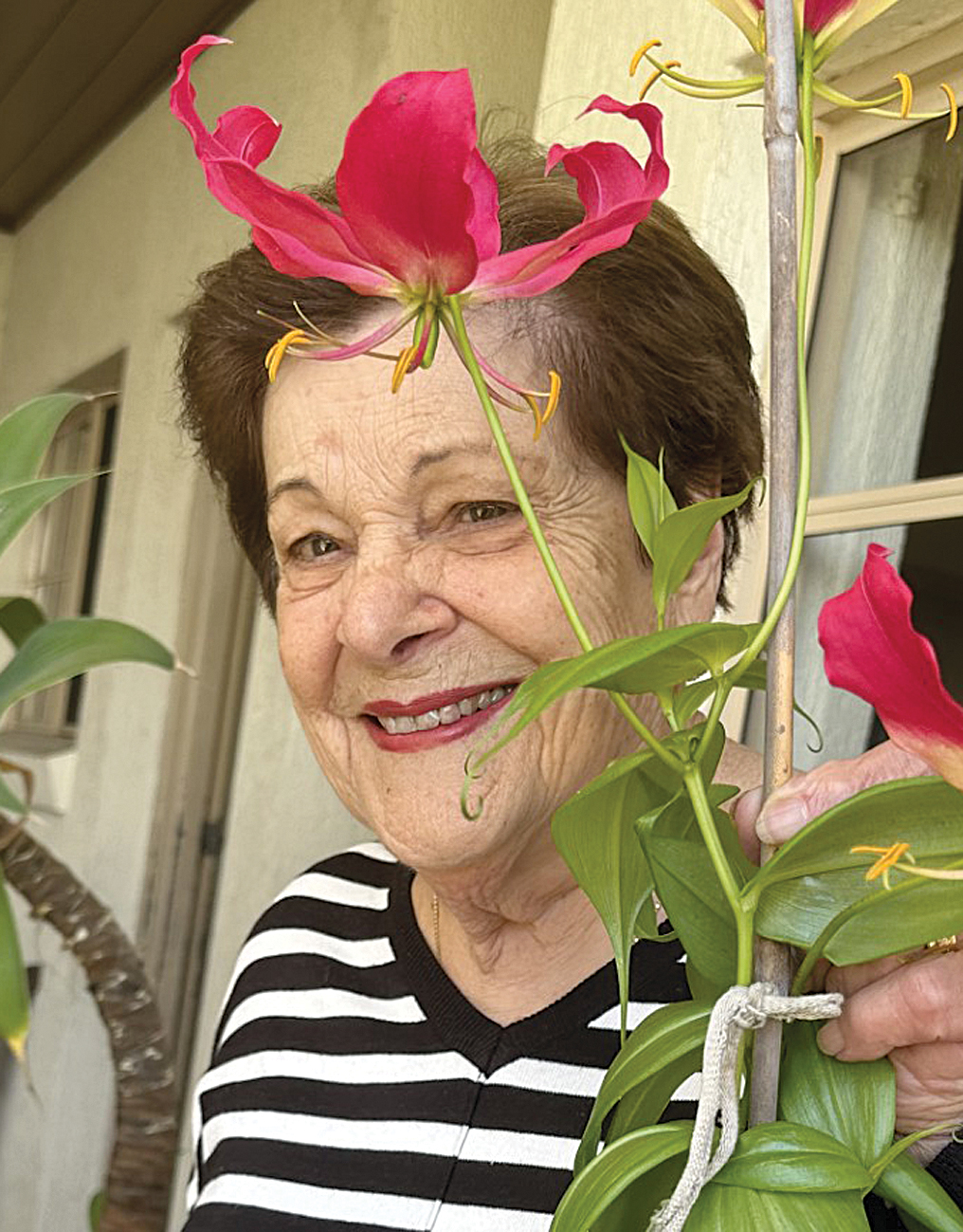 Maria Merlo — Il Globo