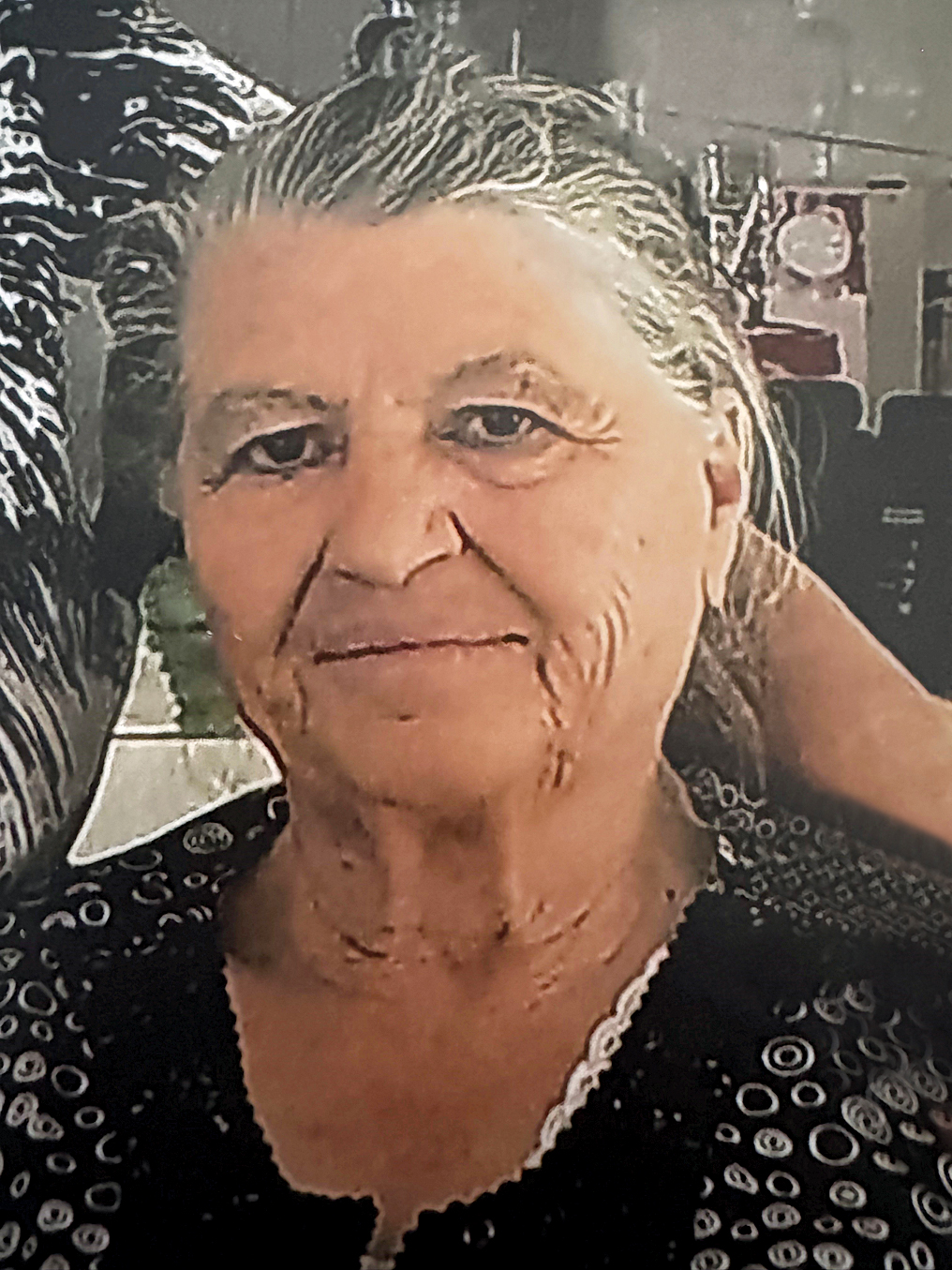 Maria Francesca Lamanna LaRocca — Il Globo