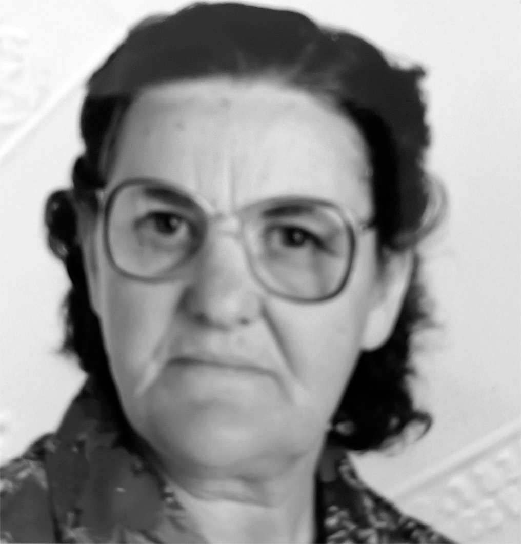 Dina Favero — Il Globo