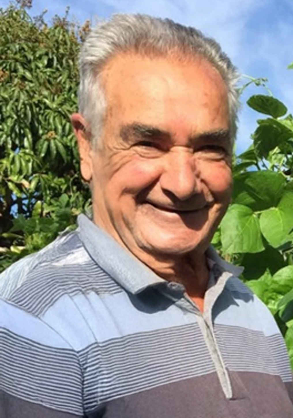 Angelo Sottolano — Il Globo