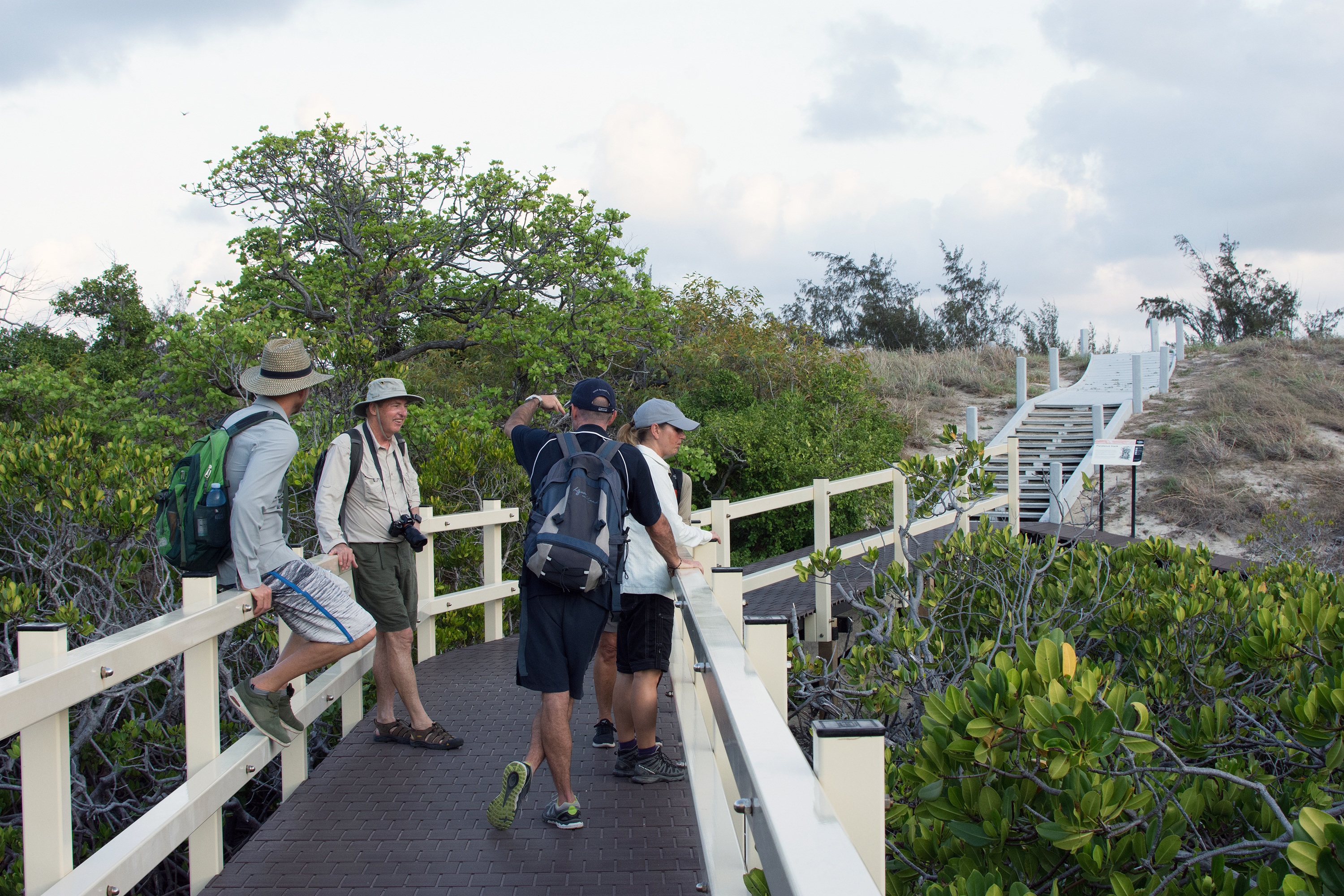 Tragedia a Lizard Island: donna di 80 anni lasciata indietro durante ...